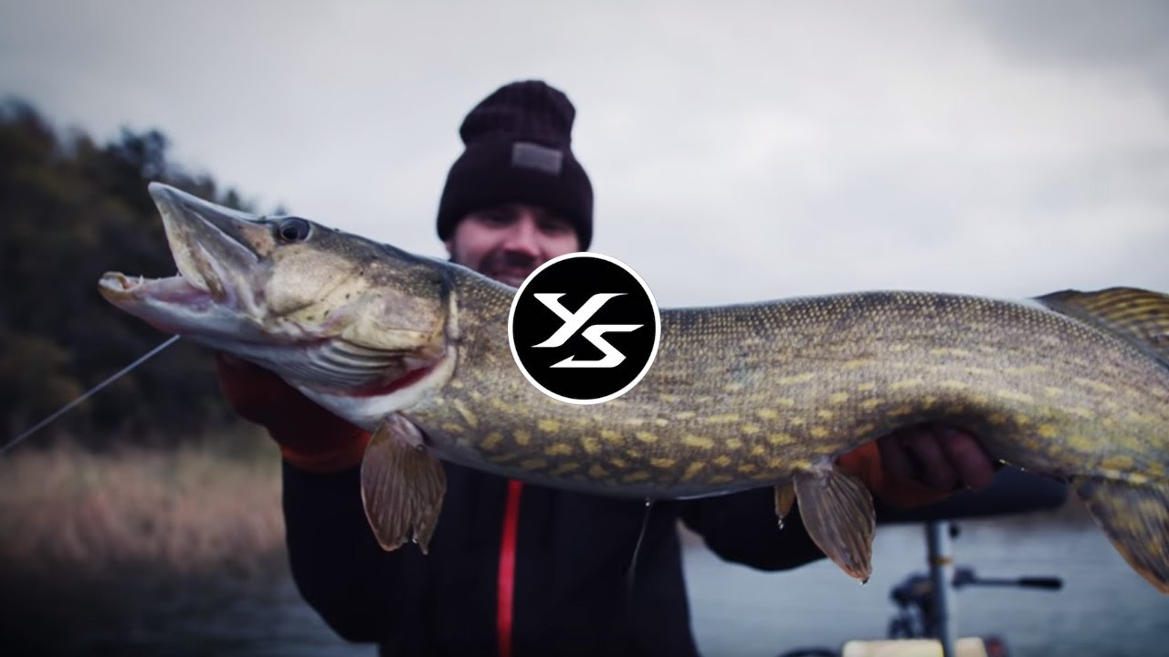 Grote snoek in Zweden - Roofmeister