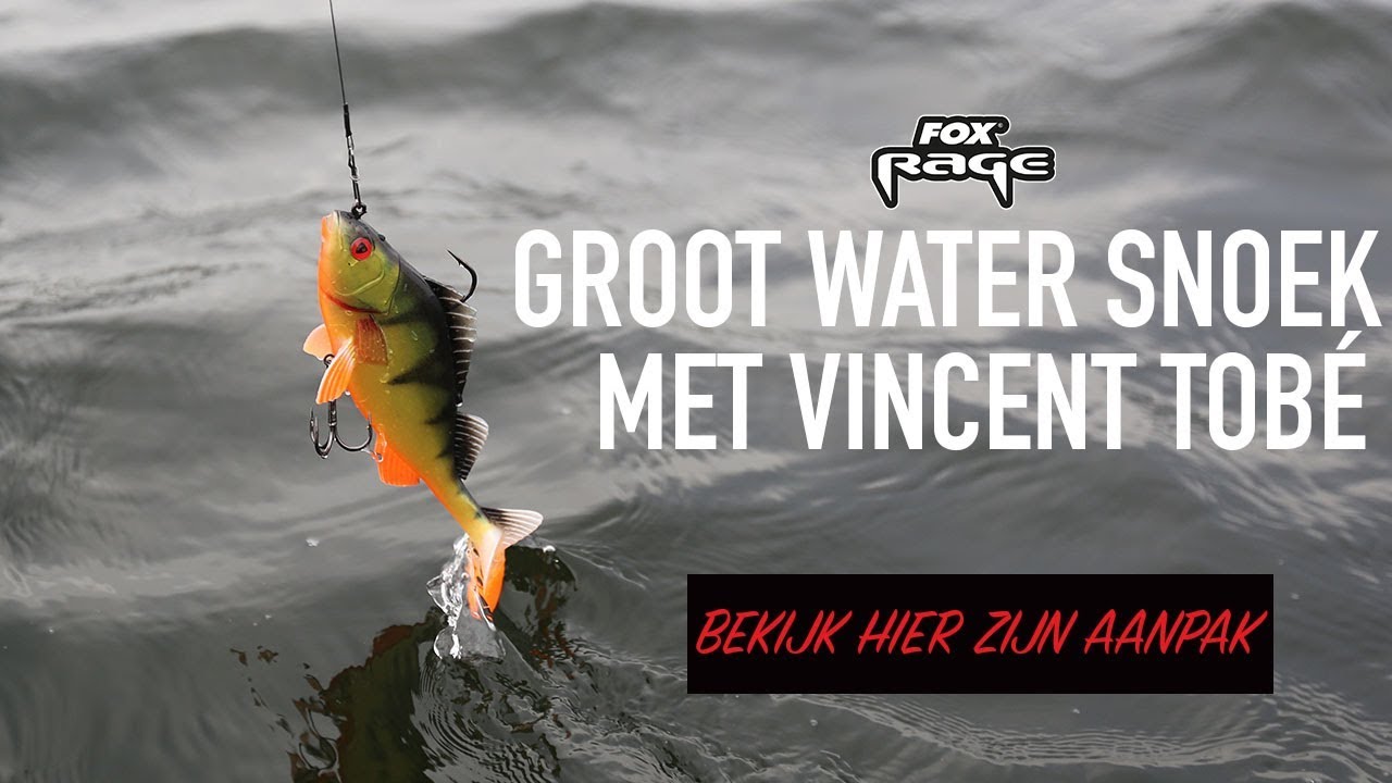Tips voor snoek op groot water - Vincent Tobé - Roofmeister