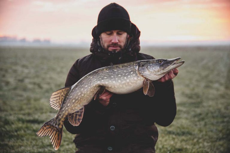De snoekvissende karpervisser - Alvar Besemer - Roofmeister