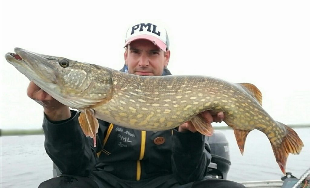 ROOFMEISTER INSIDE – Nederlandse recordS meerval en meer dan 70 actuele ...