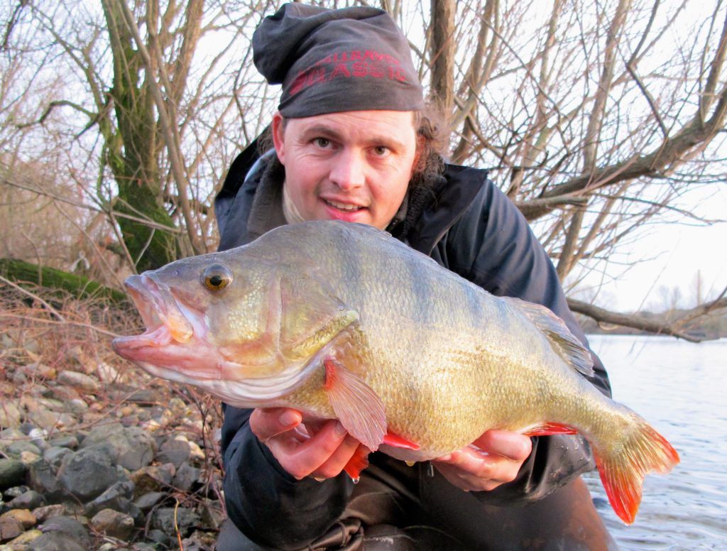Het Nederlands record baars van 54 cm - Interview met Pieter-Bas ...
