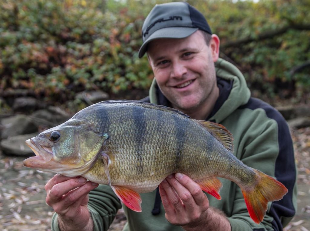 Zo vind je de beste stekken voor grote baars - De Ned rig en Chebaruska ...