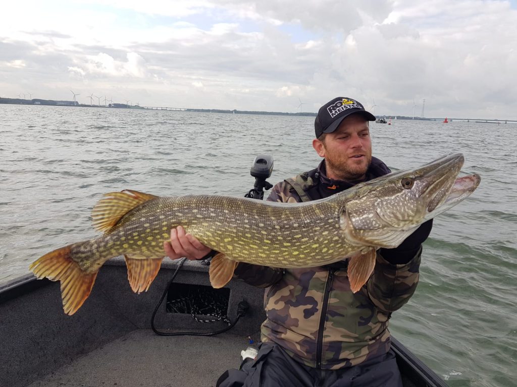 In MAART mag je gewoon op snoek vissen - Vragen over de gesloten tijd ...