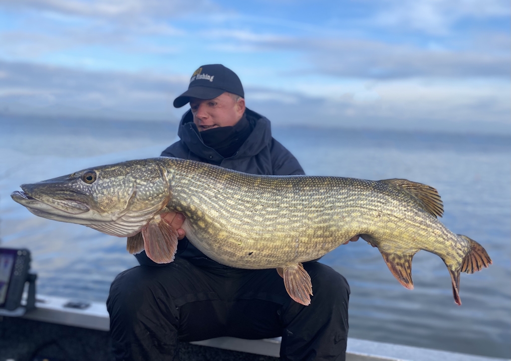 Snoek in beeld - Jeroen Bouwer over de HDS 12 Live - Roofmeister