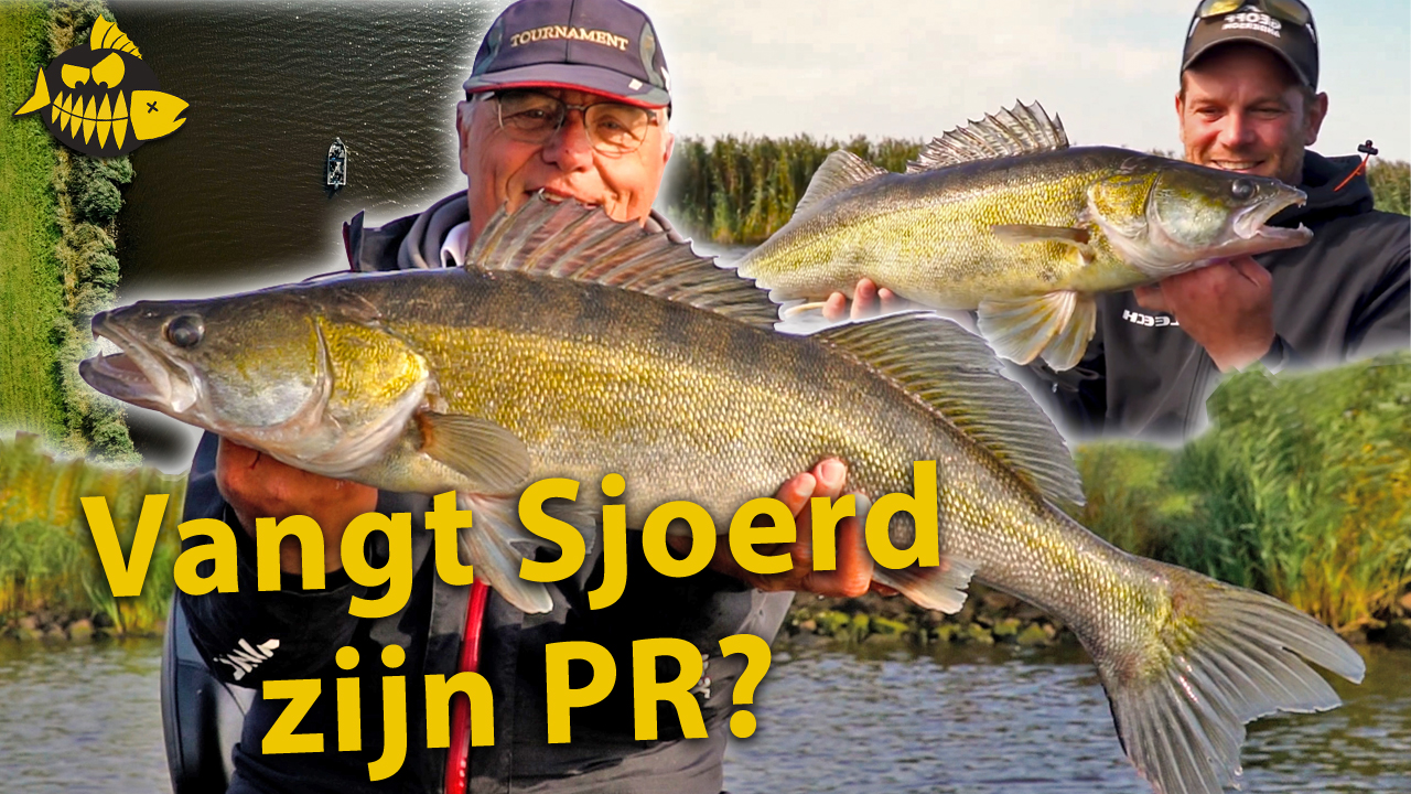 Verticalen op GROTE snoekbaars