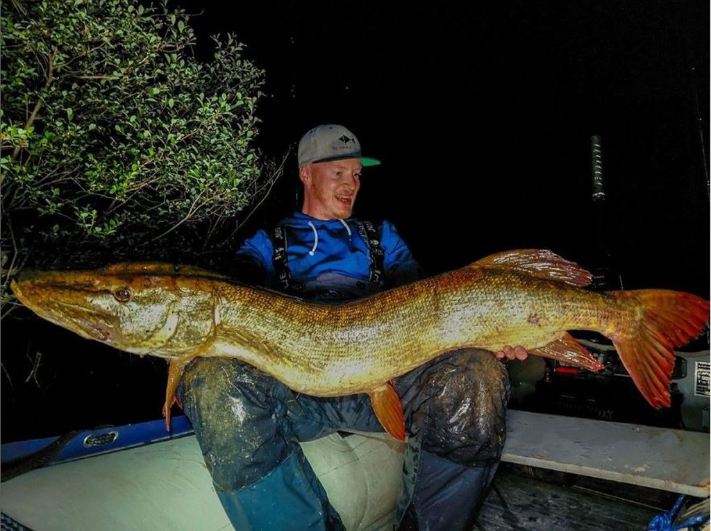 Is dit het nieuwe wereldrecord snoek?! - Roofmeister