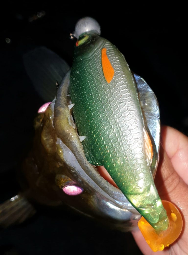 Kunstaas estafette - Top 3 kunstaas voor snoekbaars van Hans van de ...