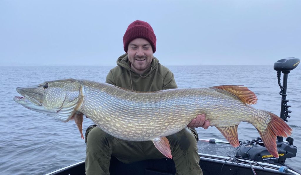 Dit wist jij nog niet over snoek! Feiten & weetjes! - Roofmeister